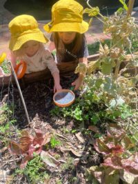 Bush Tucker Living Classroom – Federal Community Children’s Centre