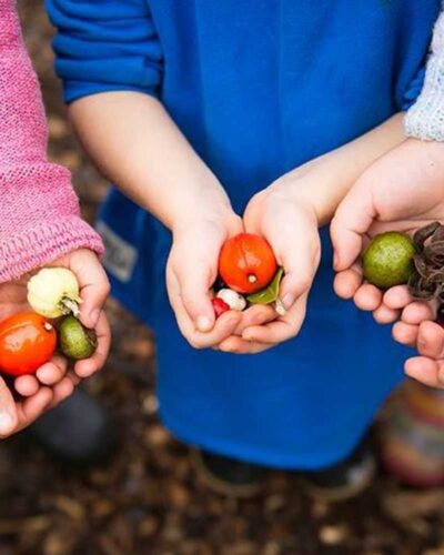 Bush Tucker Living Classroom – Federal Community Children’s Centre