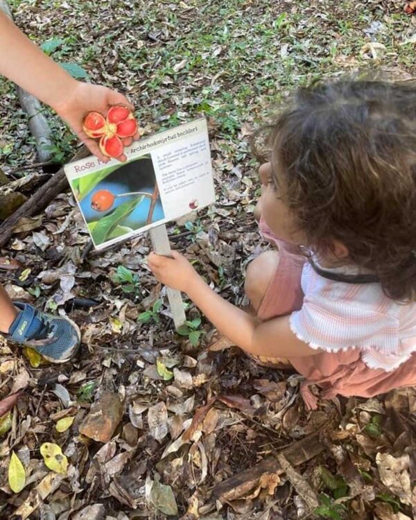 Bush Tucker Living Classroom – Federal Community Children’s Centre